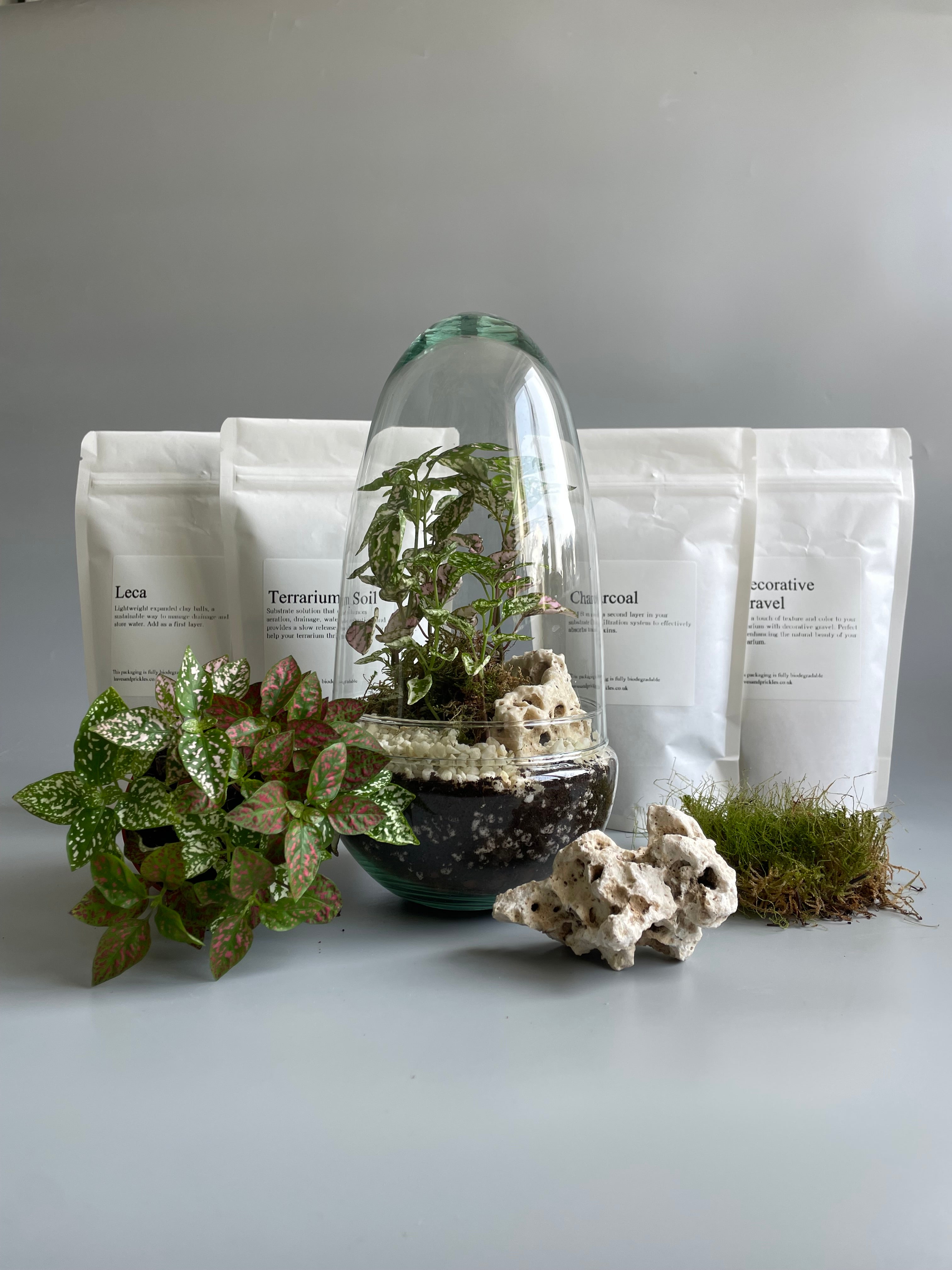Glass Egg Terrarium Kit - H: 25cm D: 12cm | leaves and prickles