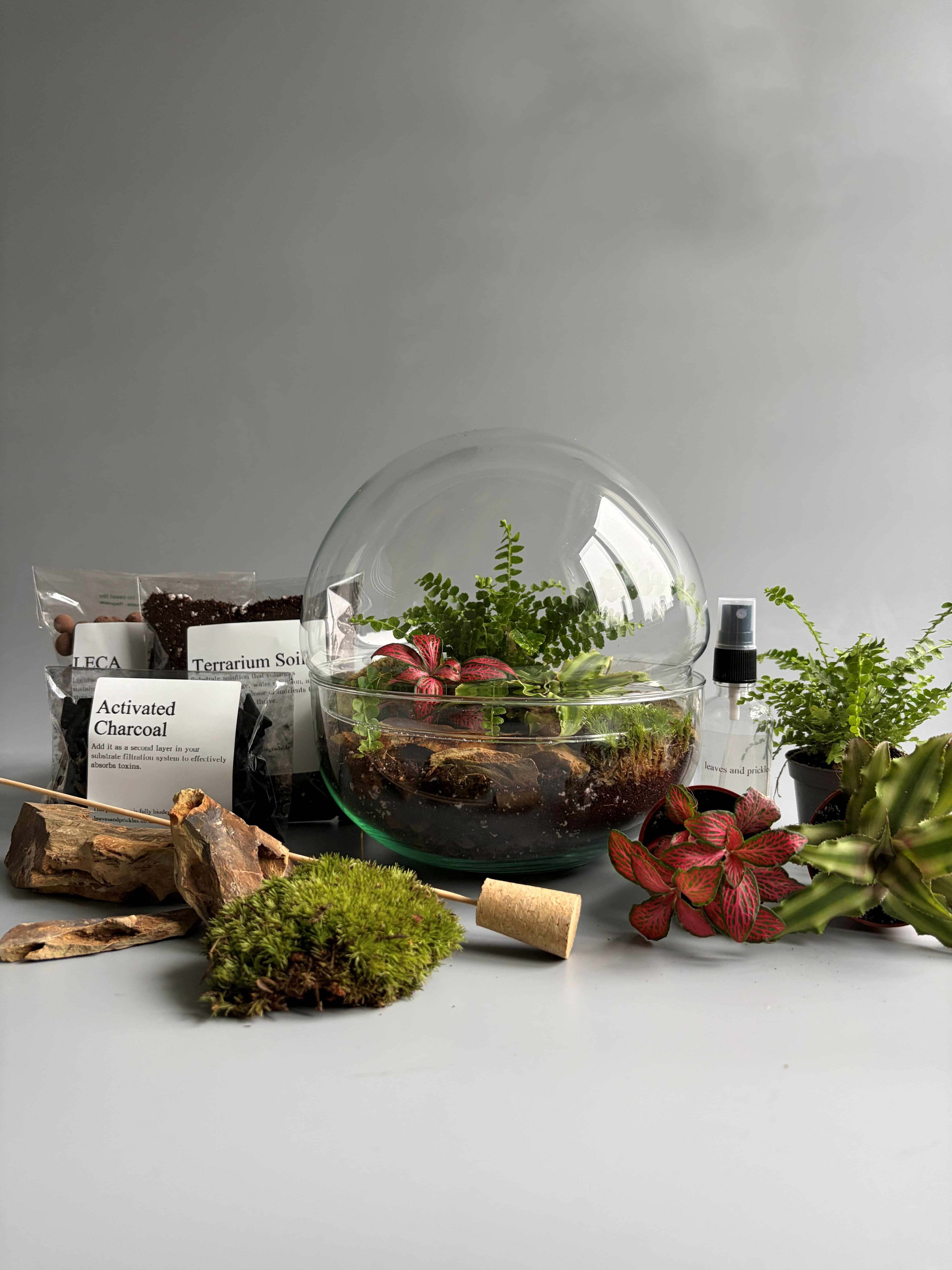 Glass Bowl Terrarium Kit - H: 19.5cm D: 18.5cm | leaves and prickles