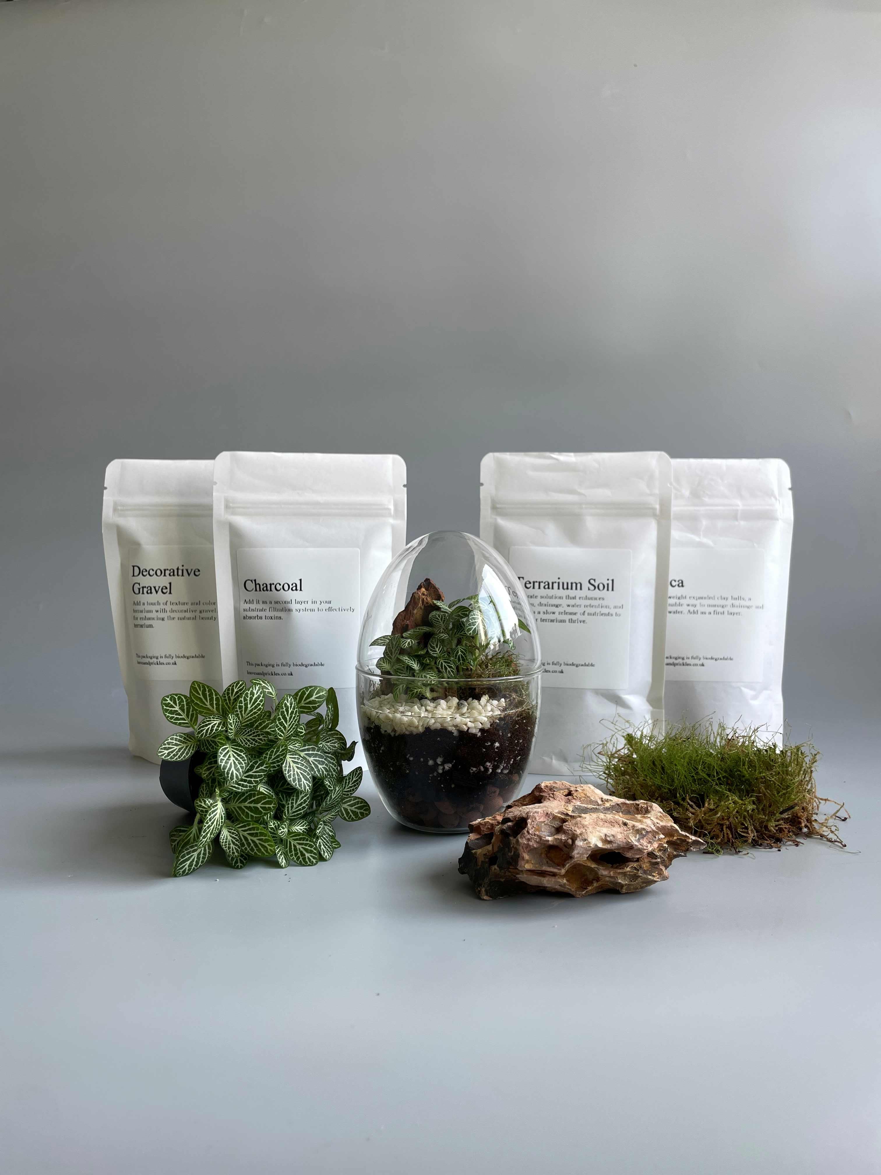 Small Glass Egg Terrarium Kit - H: 14cm D: 9cm | leaves and prickles