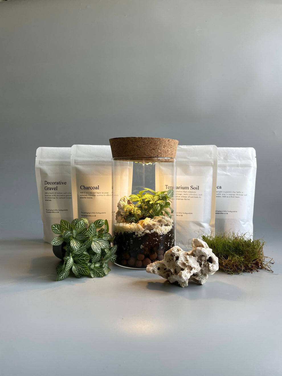 Light-up Terrarium Kit - H: 18cm D: 10cm | leaves and prickles