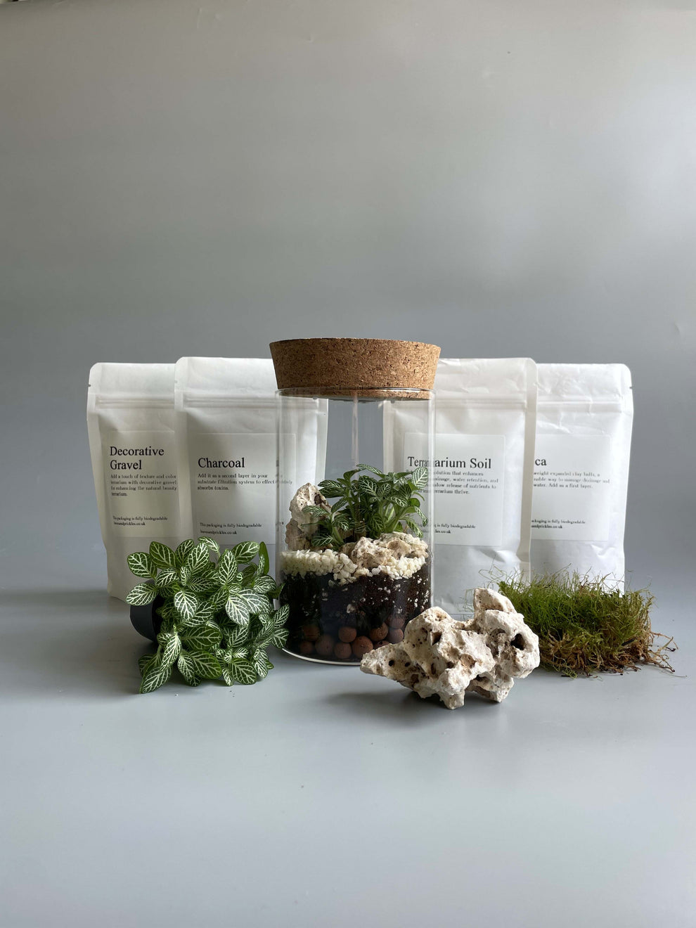 Light-up Terrarium Kit - H: 18cm D: 10cm | leaves and prickles