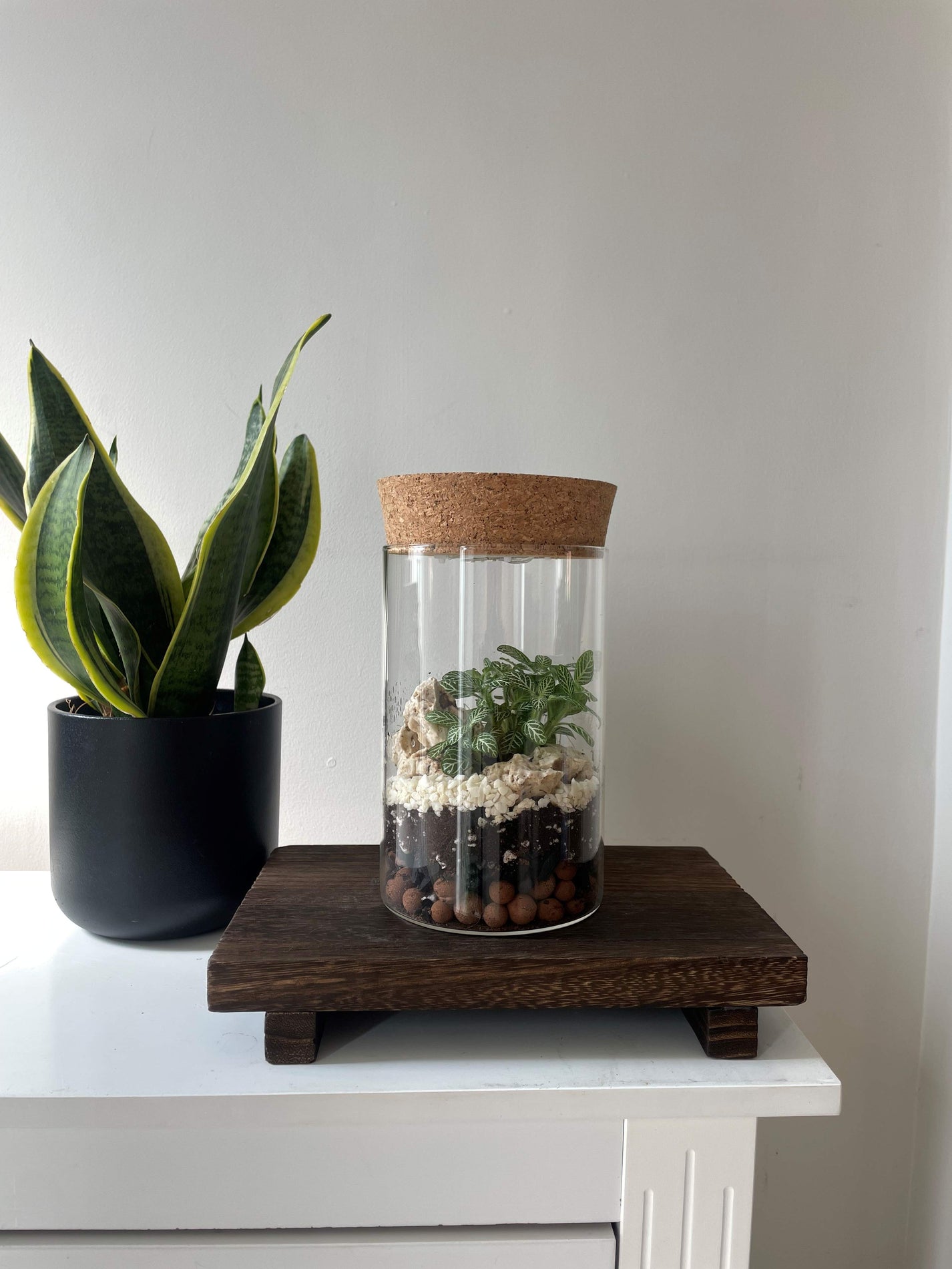 Light-up Terrarium Kit - H: 18cm D: 10cm | leaves and prickles