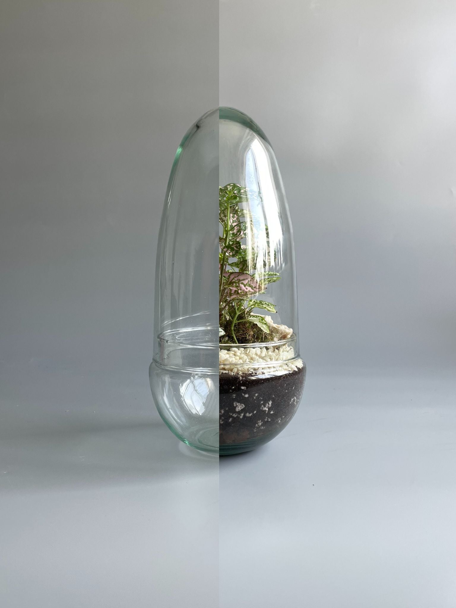 Glass Egg Terrarium Container - H: 25cm D: 12cm | leaves and prickles
